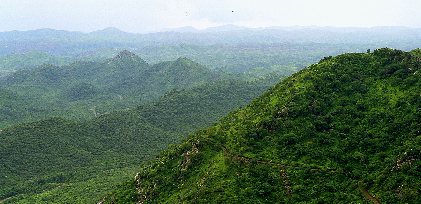 Discover the Breathtaking Beauty of Aravali Hills in Gurgaon